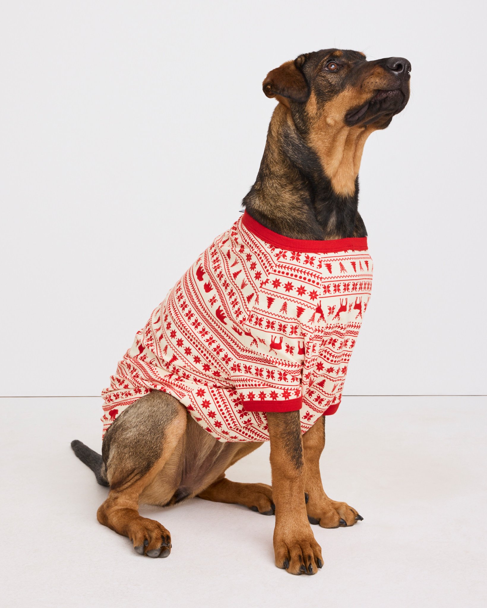 Dog Apparel Simply Dog Christmas Sweaters Simply Dog Green Dot Santa ...