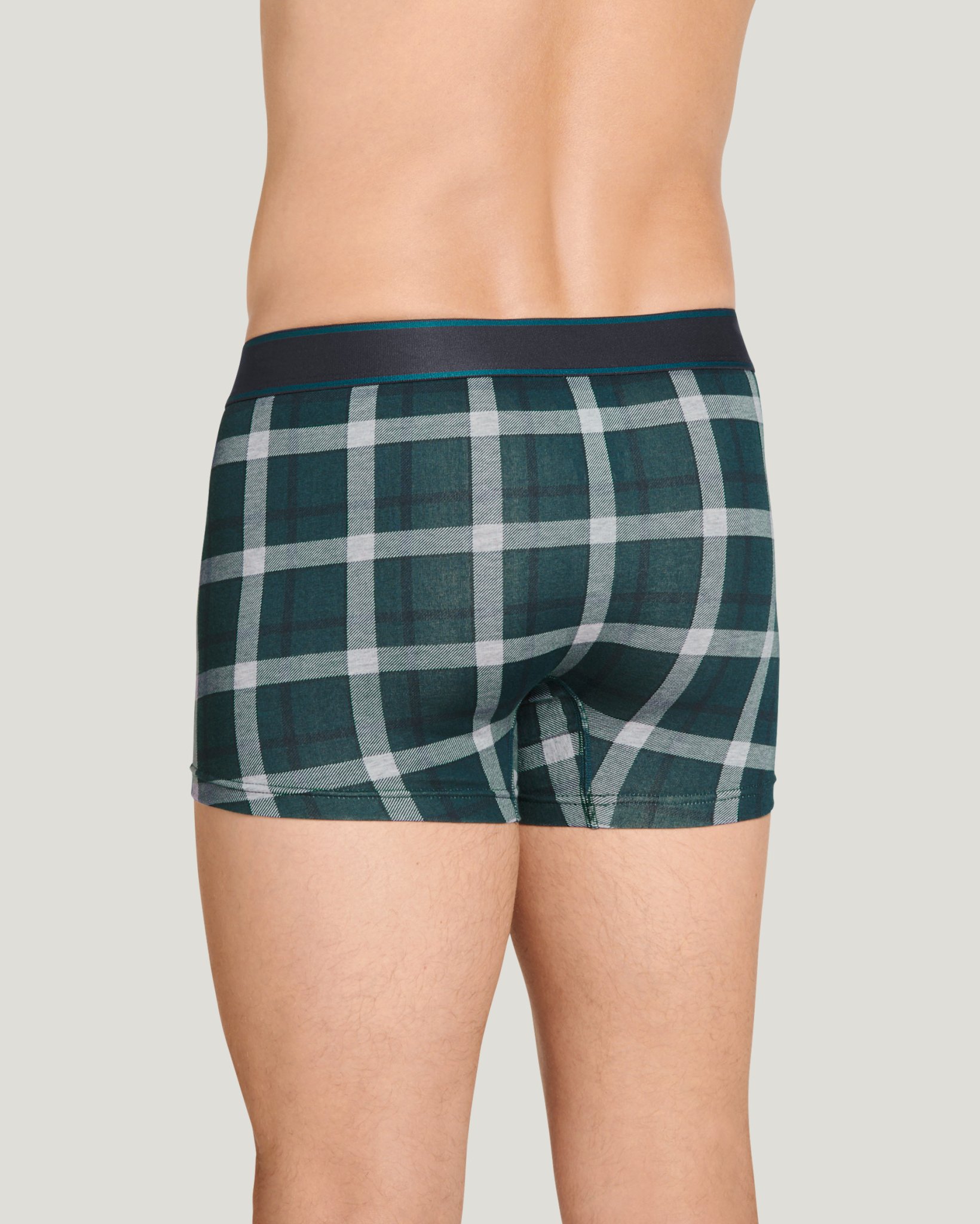 Green Plaid Trunk